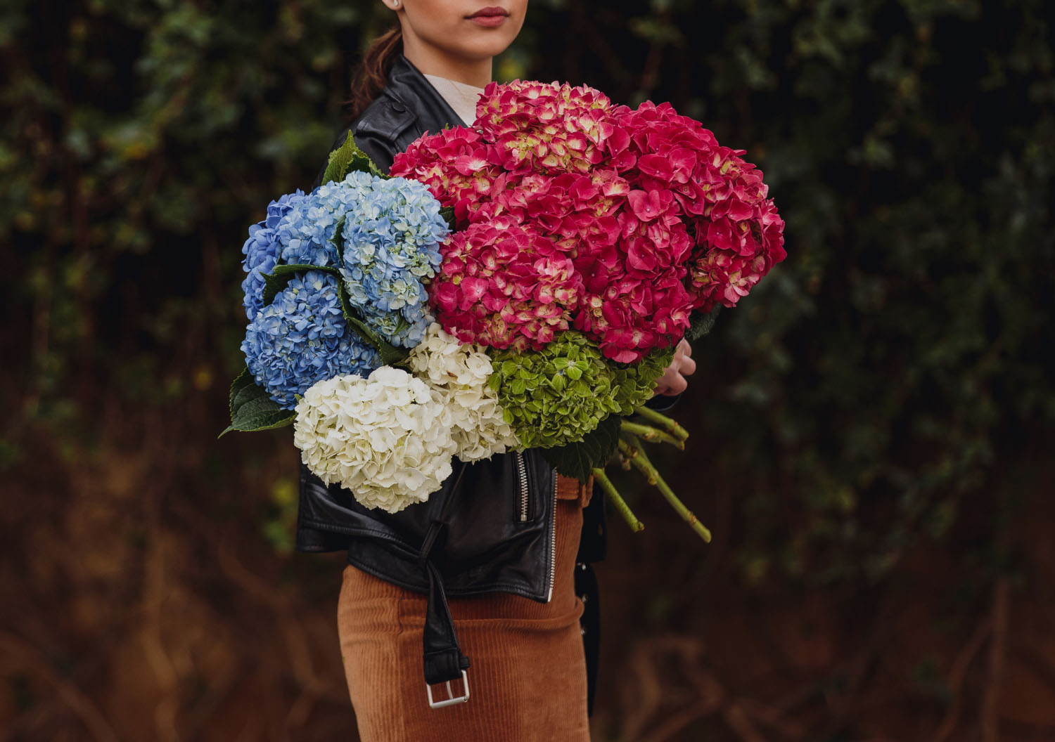 23 Different Types Of Hydrangeas That Will Brighten Any Garden