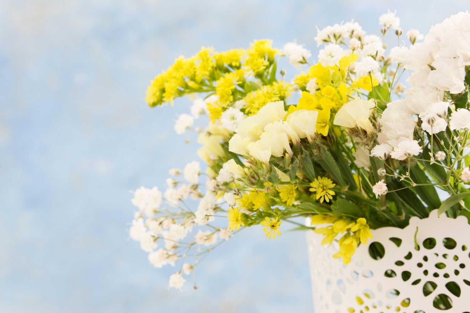 30 Flowers That Means New Beginnings And Fresh Starts