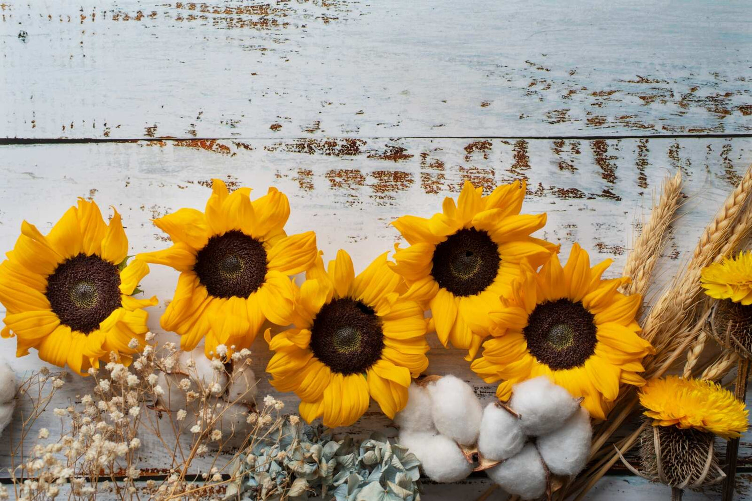 How To Dry Sunflowers And Keep Them Fresh: 4 Simple Ways